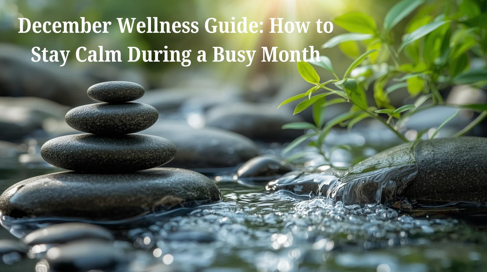 December Wellness Guide: How to Stay Calm During a Busy Month – Omax3m